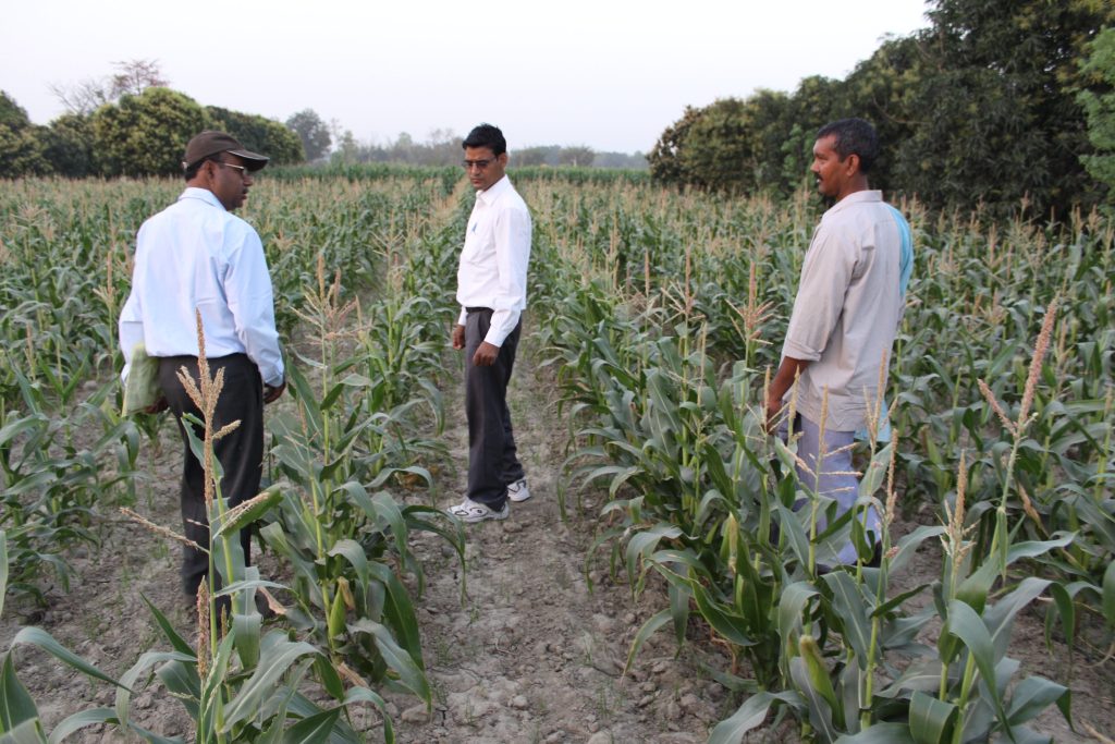 Cereal Systems Initiative for South Asia (CSISA) – CIMMYT Cereal Systems Initiative for South Asia (CSISA) – CIMMYT