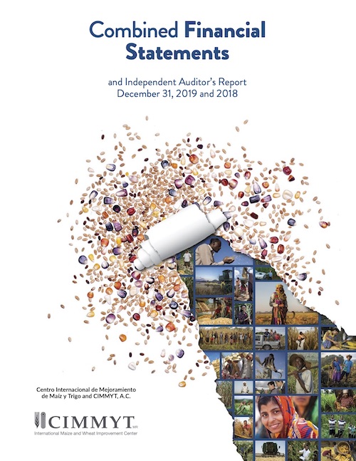 Financial statements | CIMMYT