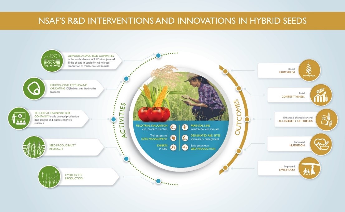 Hybrid seed production and marketing advances – CIMMYT