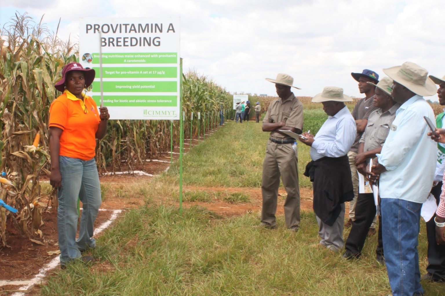 From science to impact: a chat with women scientists at CIMMYT – CIMMYT