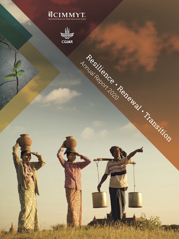 CIMMYT Annual Report 2020 – CIMMYT
