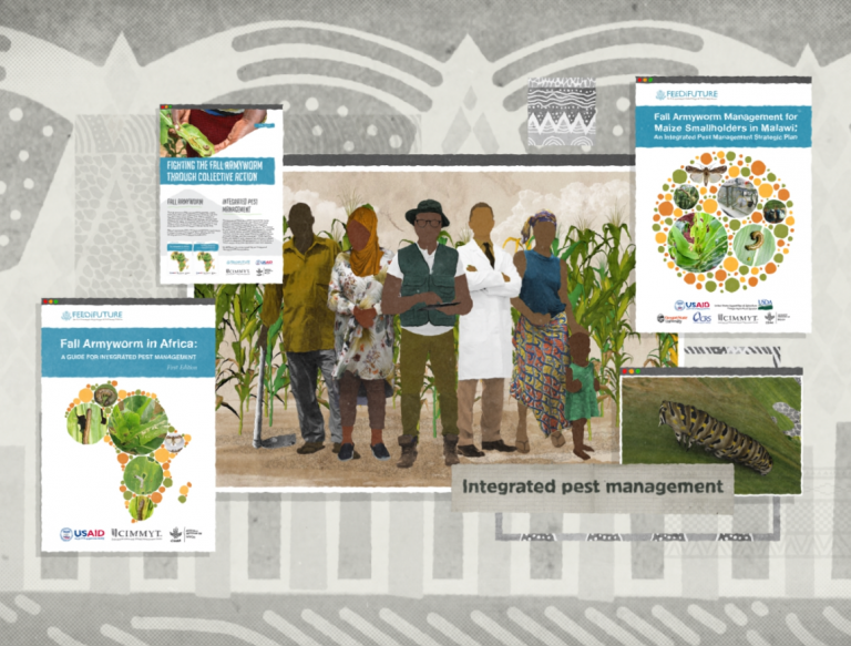 Kenya Agricultural & Livestock Research Organization (KALRO) – CIMMYT