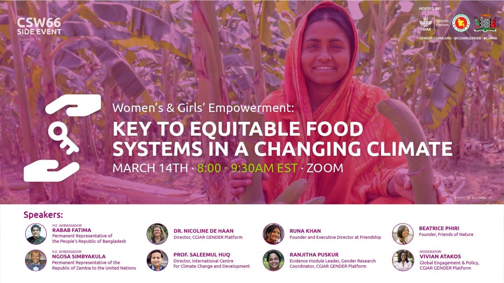 Gender-transformative research for sustainable food systems – CIMMYT