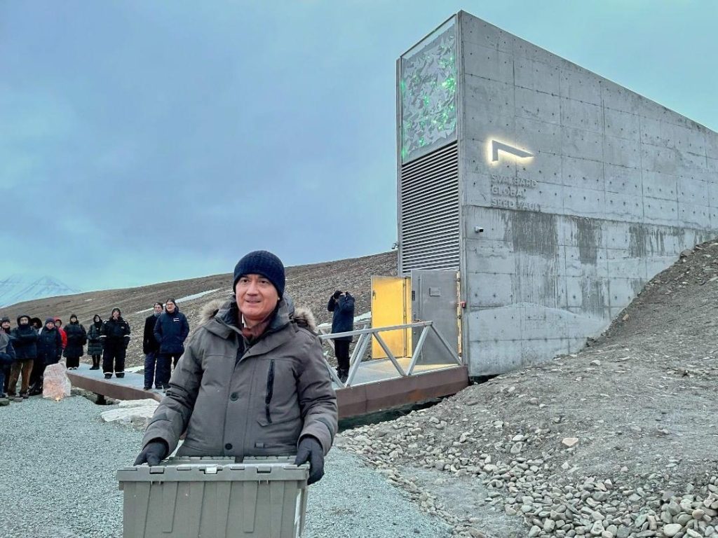 CIMMYT delivers seed to Svalbard Global Seed Vault – CIMMYT