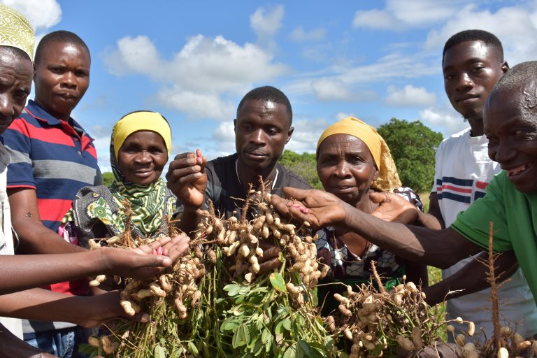 CGIAR Initiative: Accelerated Breeding – CIMMYT