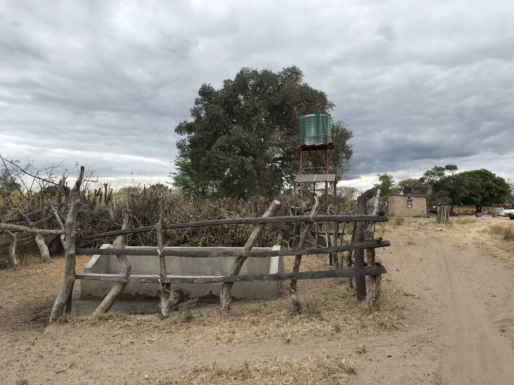 Opening the door to commercial fodder production – CIMMYT