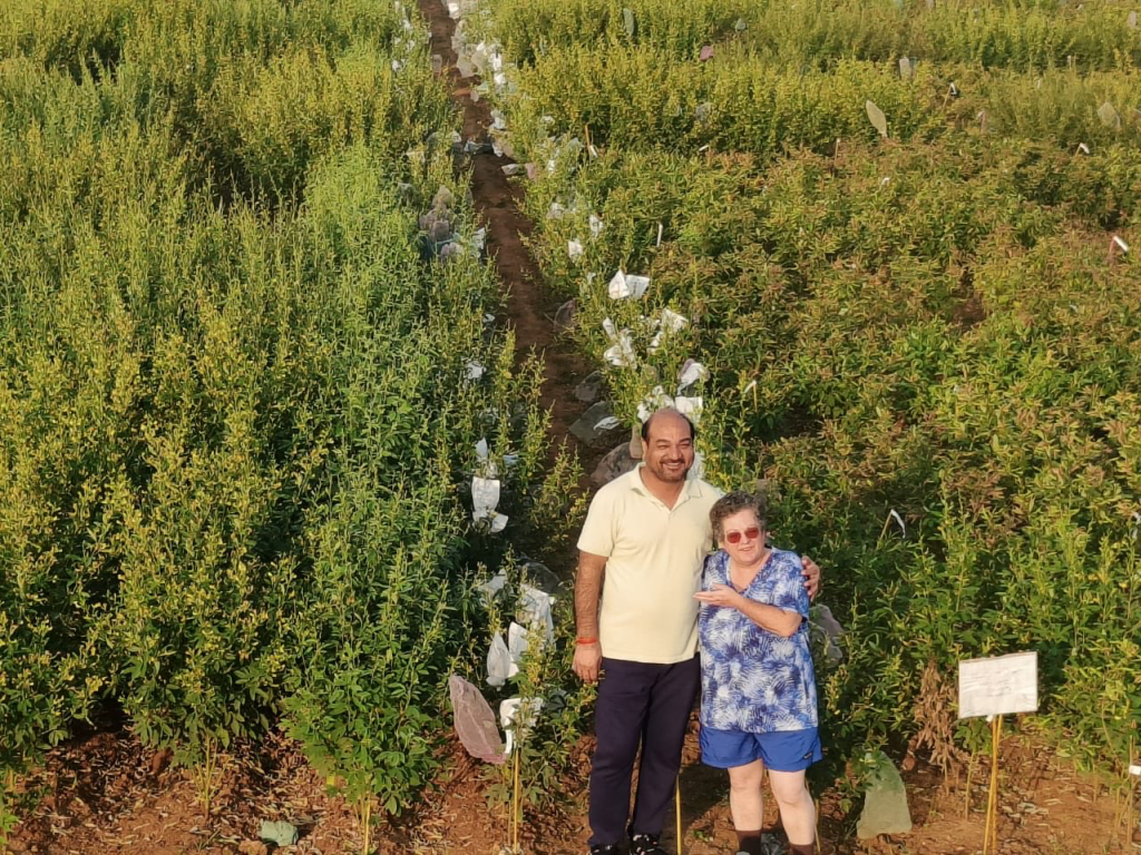 Using ENM principles to preserve soil health – CIMMYT