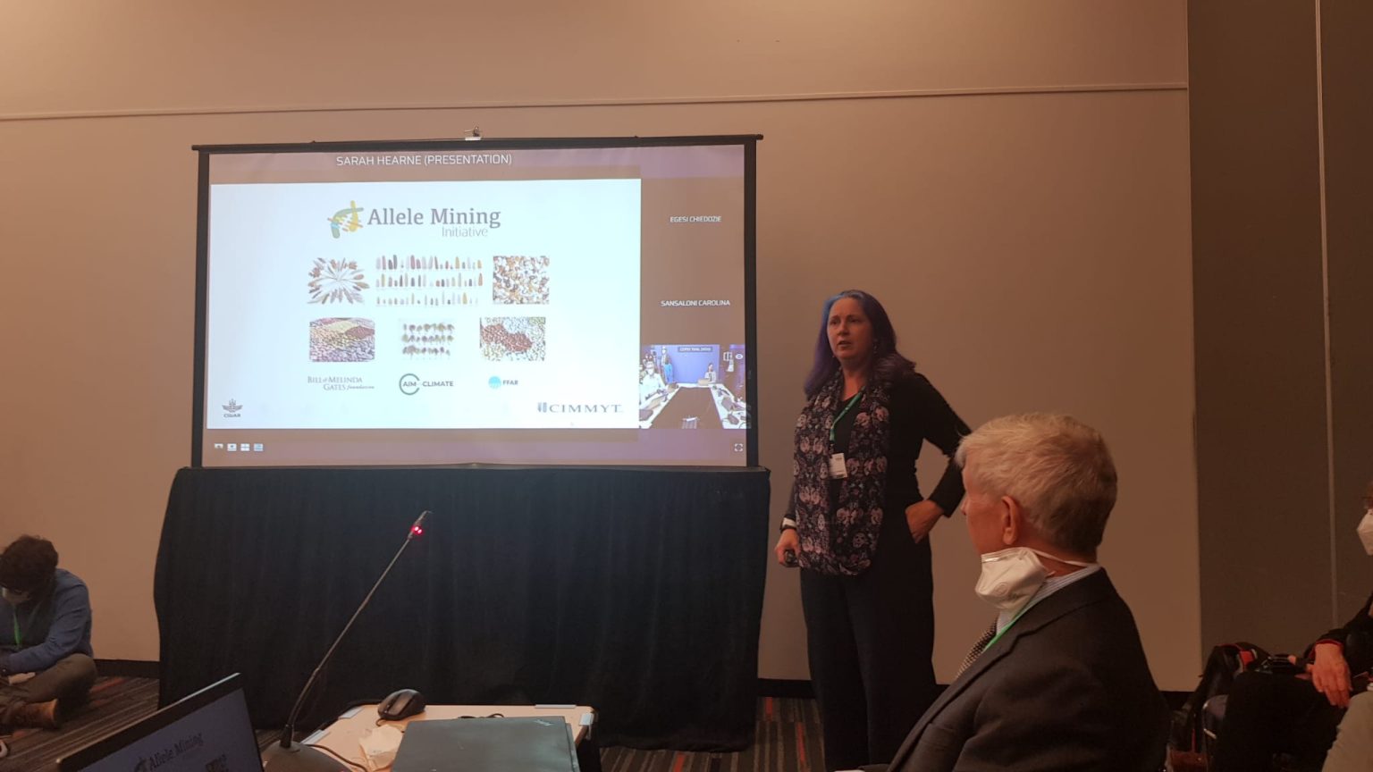 The importance of germplasm in protecting nature – CIMMYT