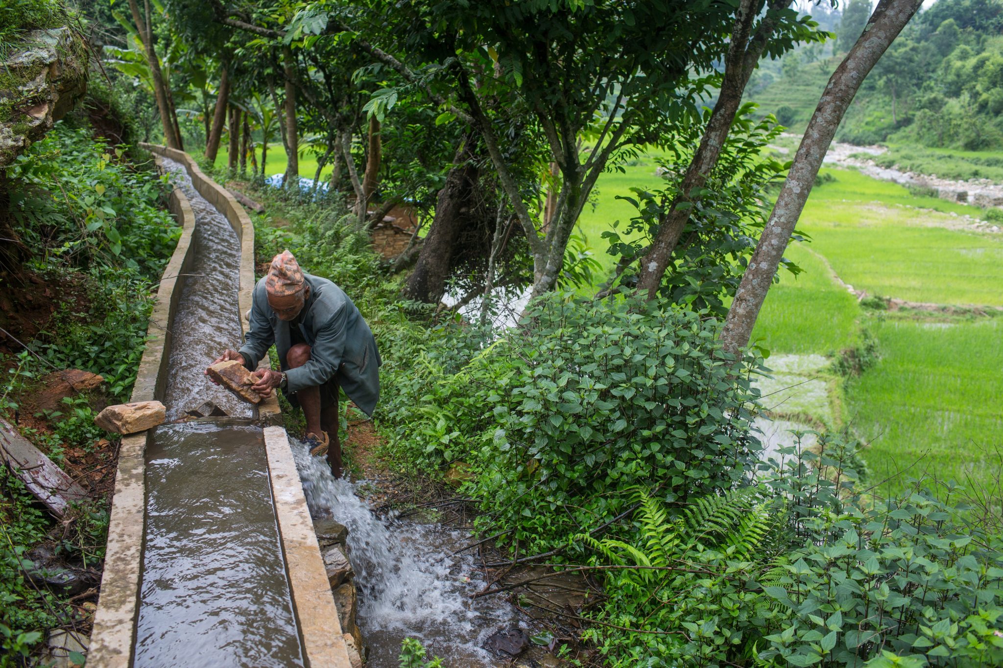 Nepal office – CIMMYT