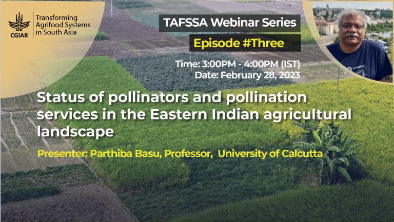 Status of pollinators and pollination services in the Eastern Indian ...