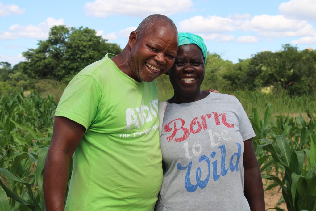 Farmers in Buhera gear up for climate-smart agriculture – CIMMYT