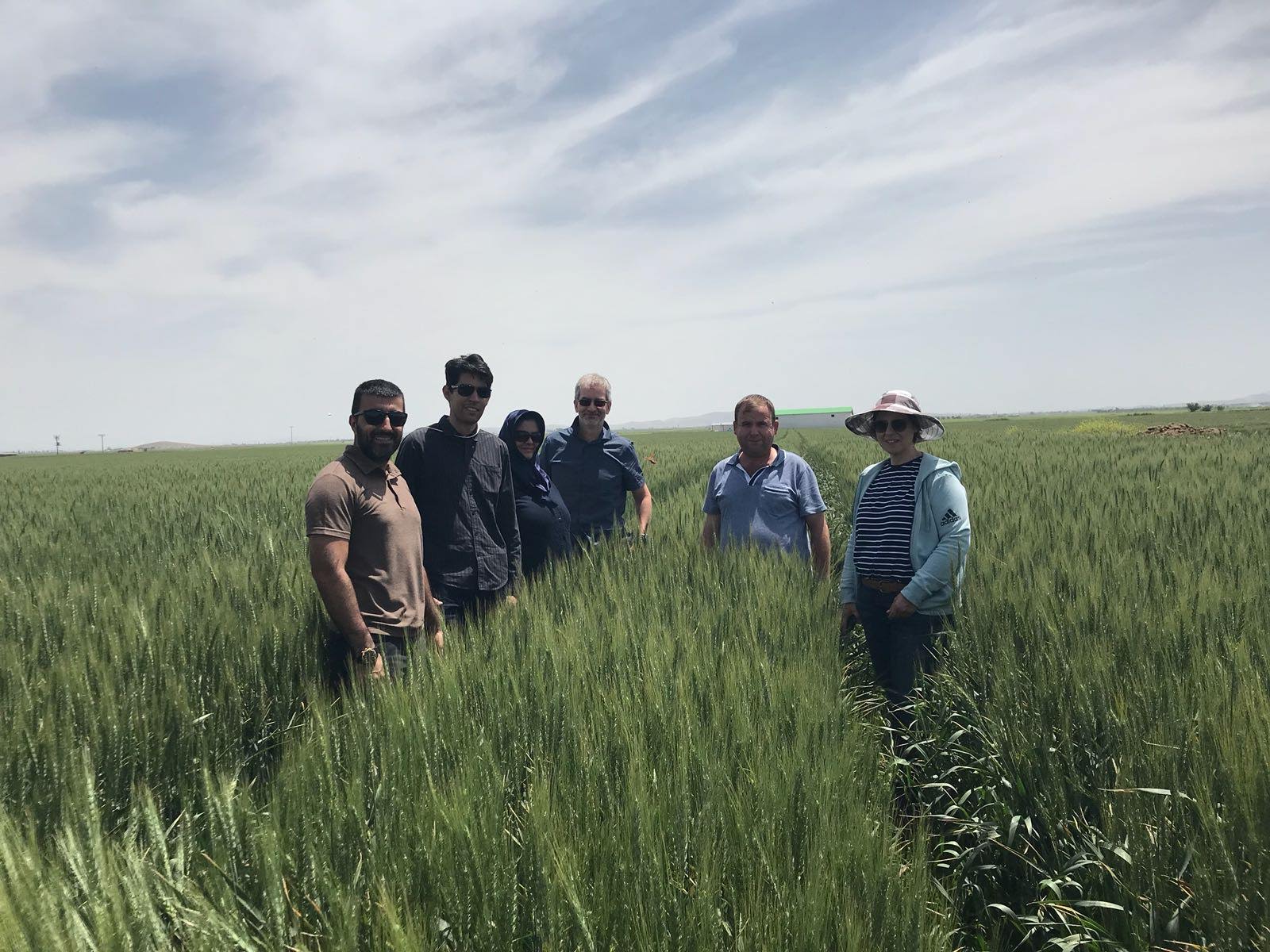 Wheat output in Africa and South Asia will suffer severely from climate ...