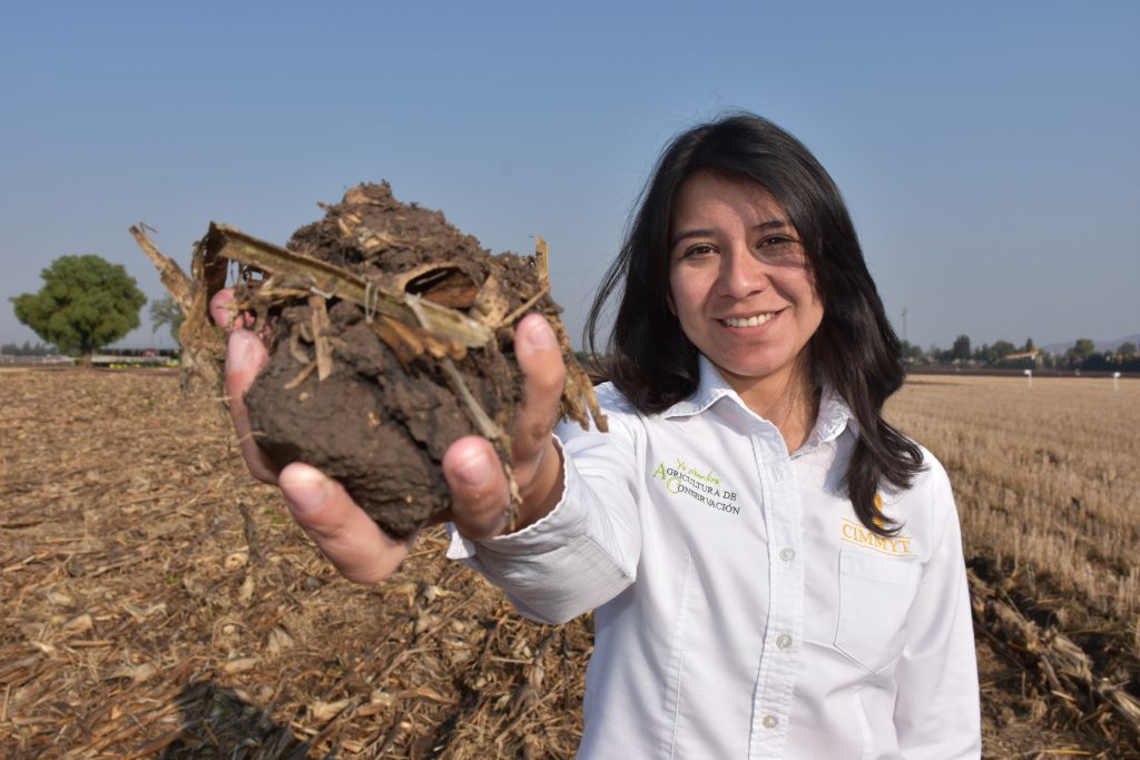 Smallholder Mexican farmers adopt resource-conserving innovations ...