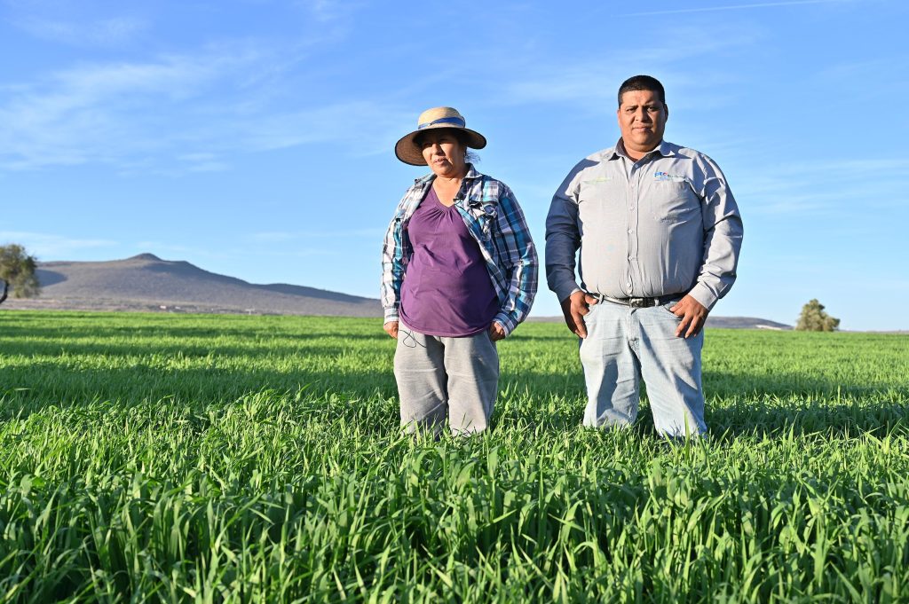 A Mexican farm research program gains praise and interest for use ...