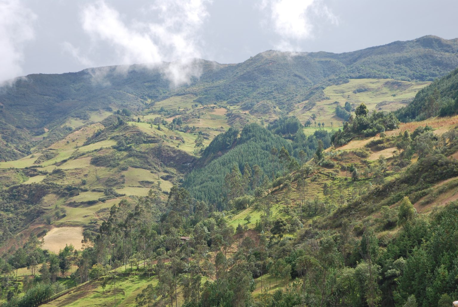 Borlaug Institute for South Asia (BISA) – CIMMYT