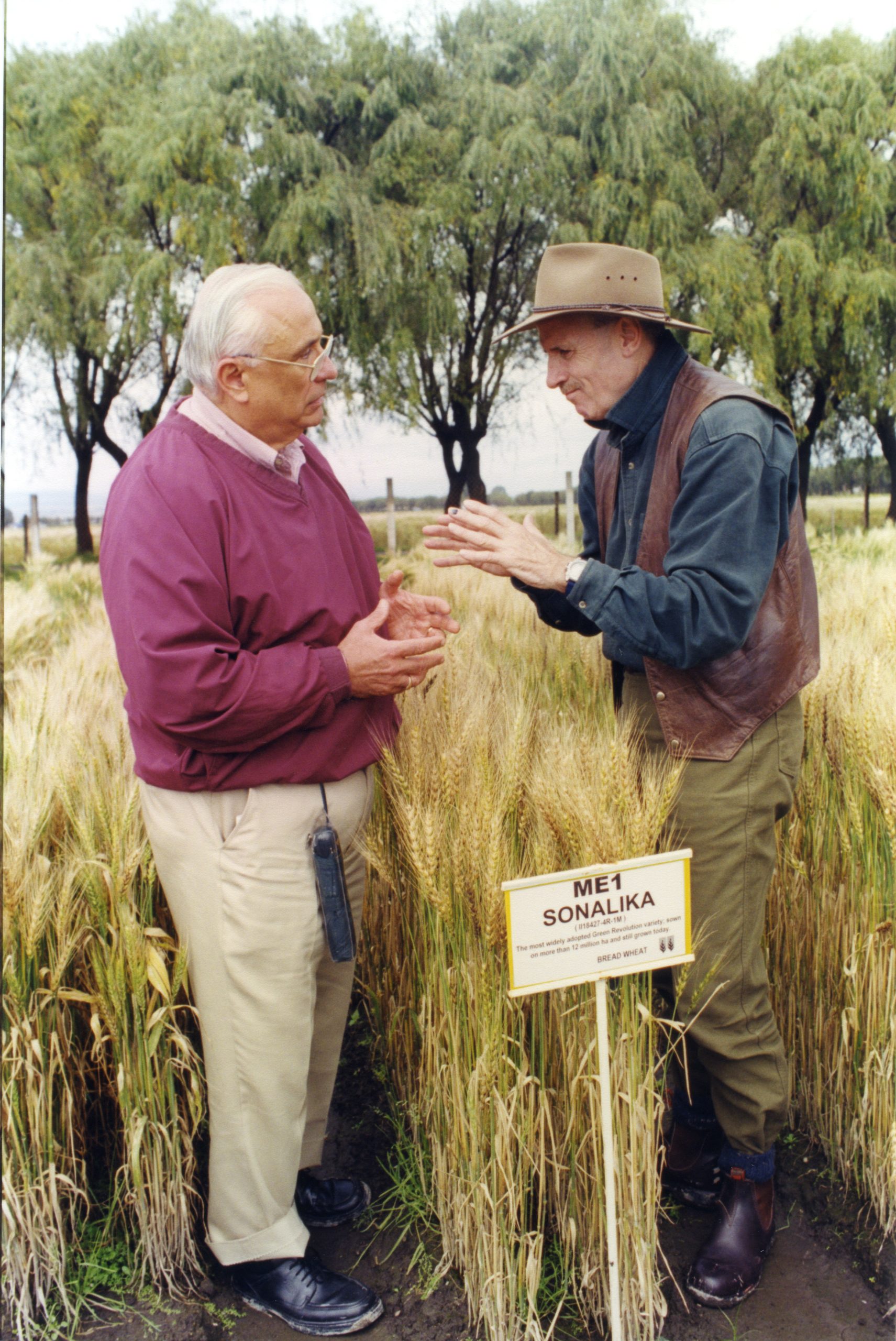 A heartfelt farewell to Walter Falcon, an agricultural giant – CIMMYT