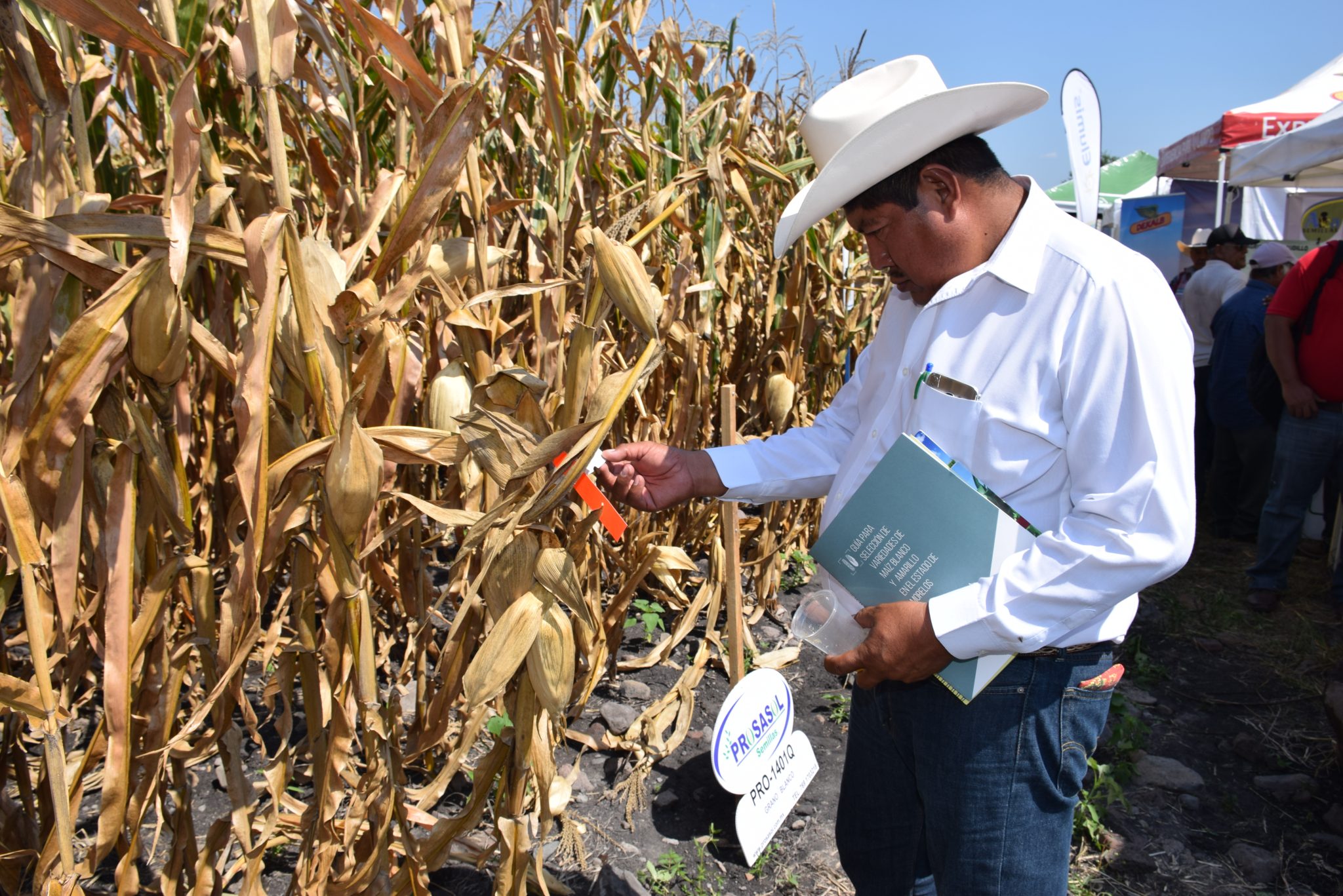 Catalyzing smallholder farming in Mexico – CIMMYT