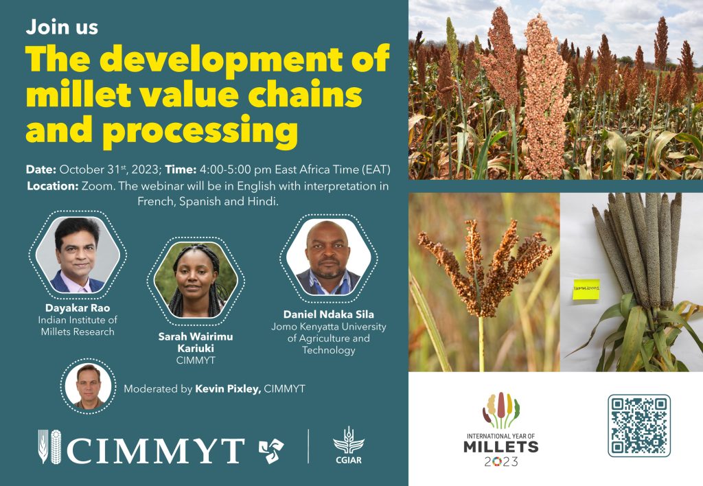 The development of millet value chains and processing – CIMMYT