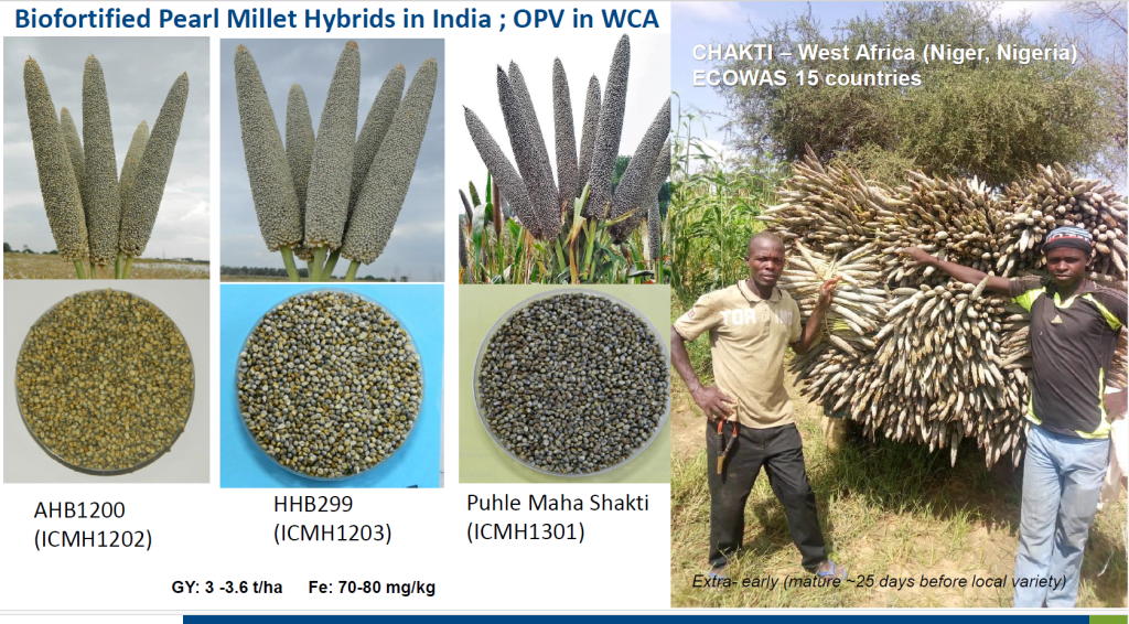 Millets: Climate-resilient crops for food and nutrition security ...