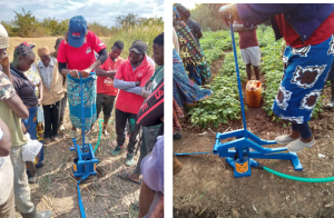 Farmers trained in irrigation plot layout – CIMMYT
