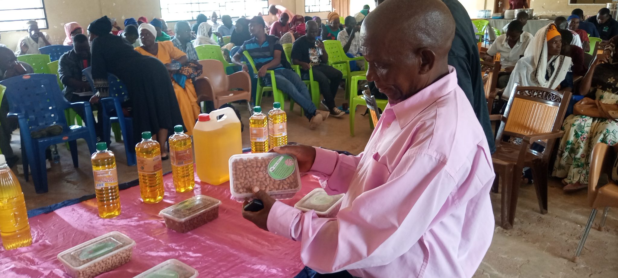 Boosting groundnut value chains – CIMMYT