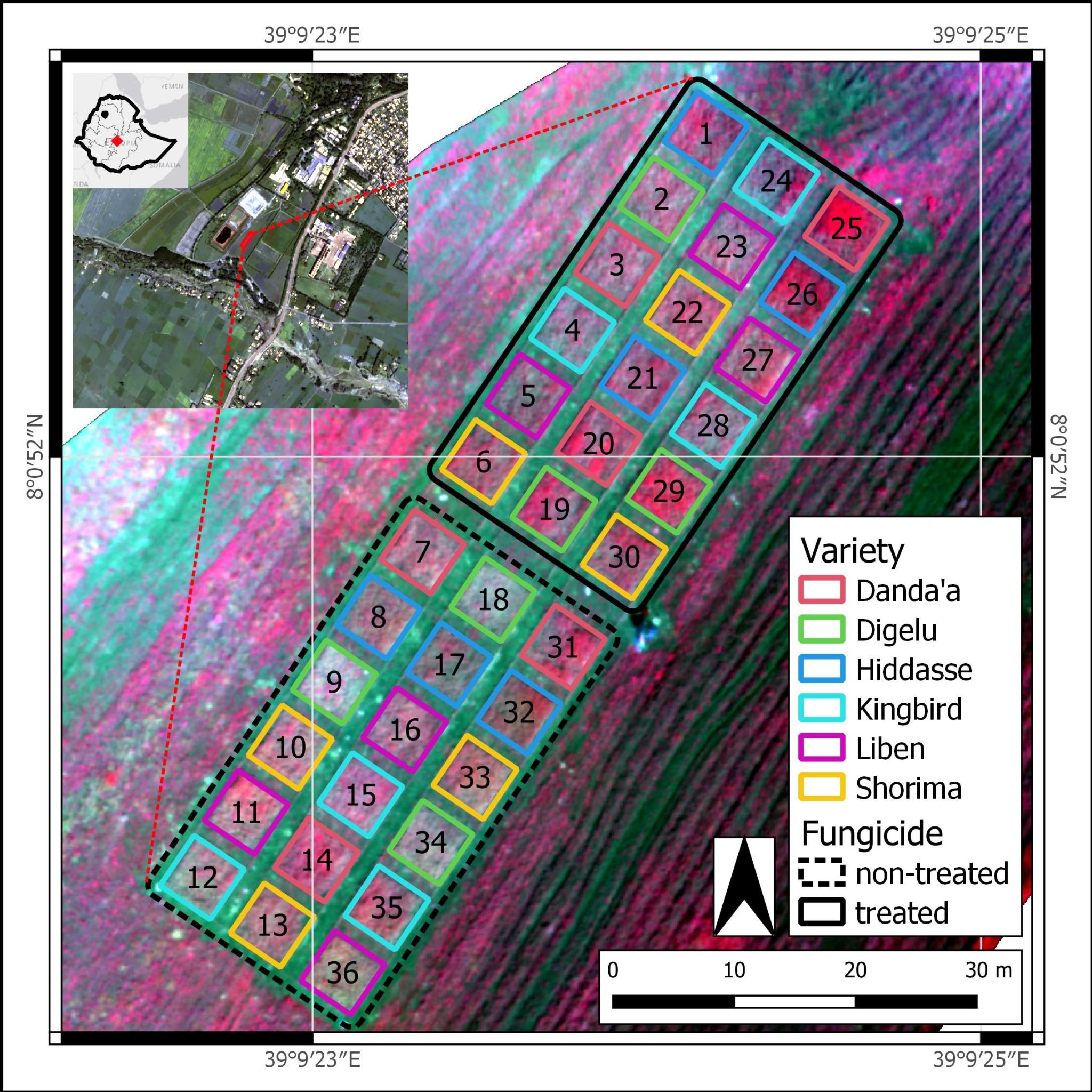 Discovering the potential of multispectral UAV and satellite sensors in detecting wheat rust in ...