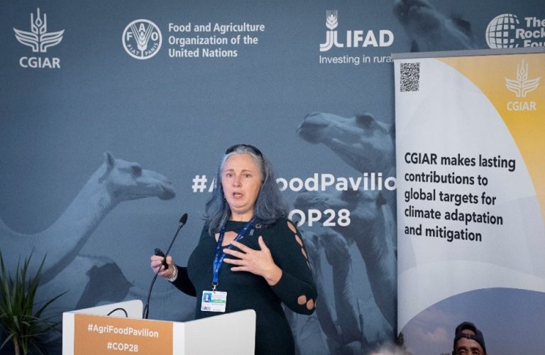 CIMMYT joins global efforts to curb greenhouse emissions and strengthen ...