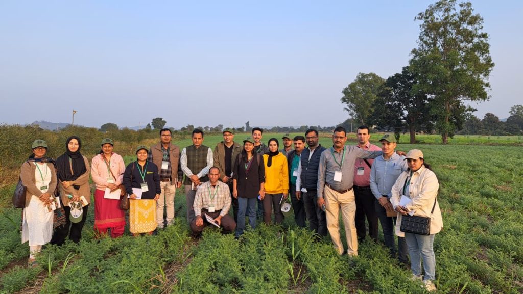 Borlaug Institute for South Asia (BISA) – CIMMYT