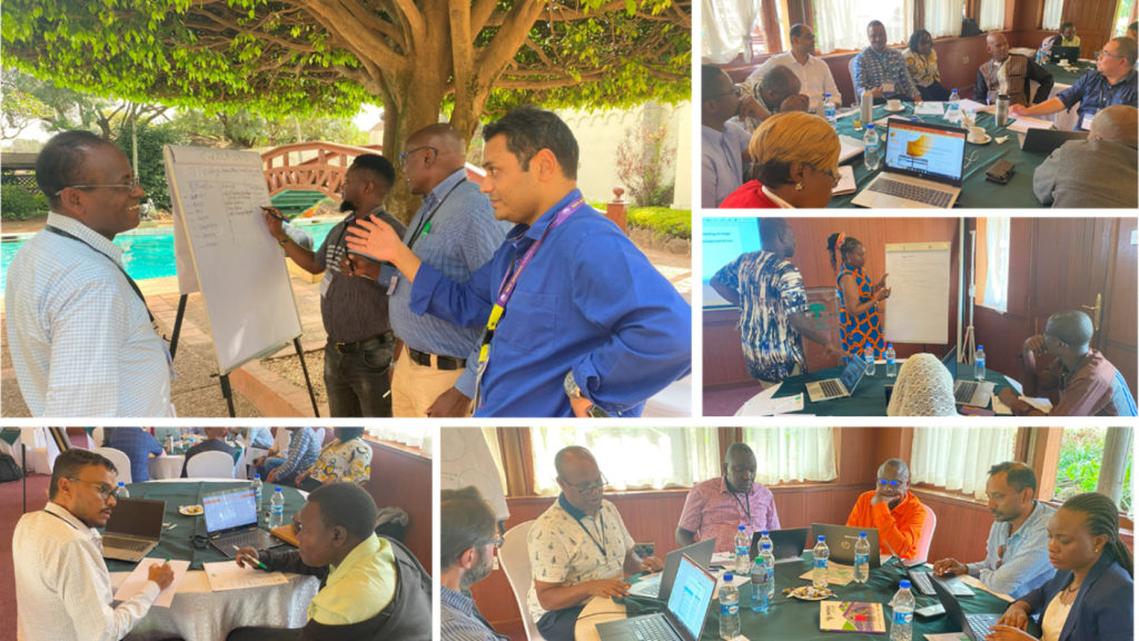 Network develops optimized breeding pipelines for accelerated genetic ...