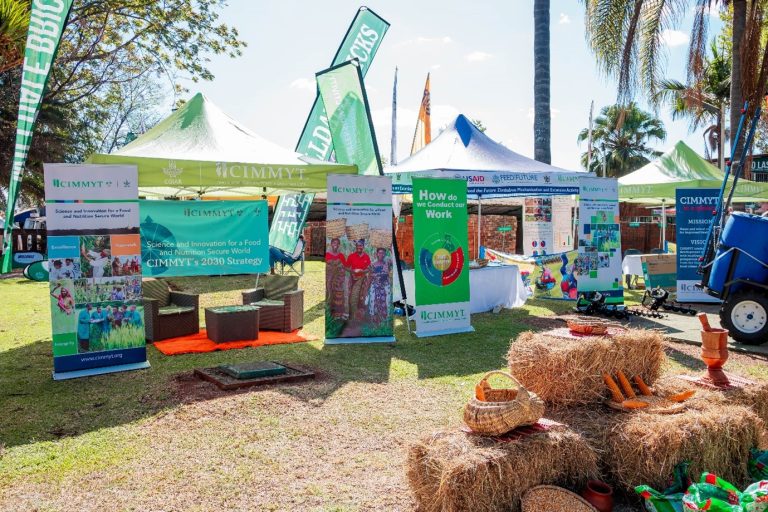 114th Zimbabwe Agriculture Show – CIMMYT