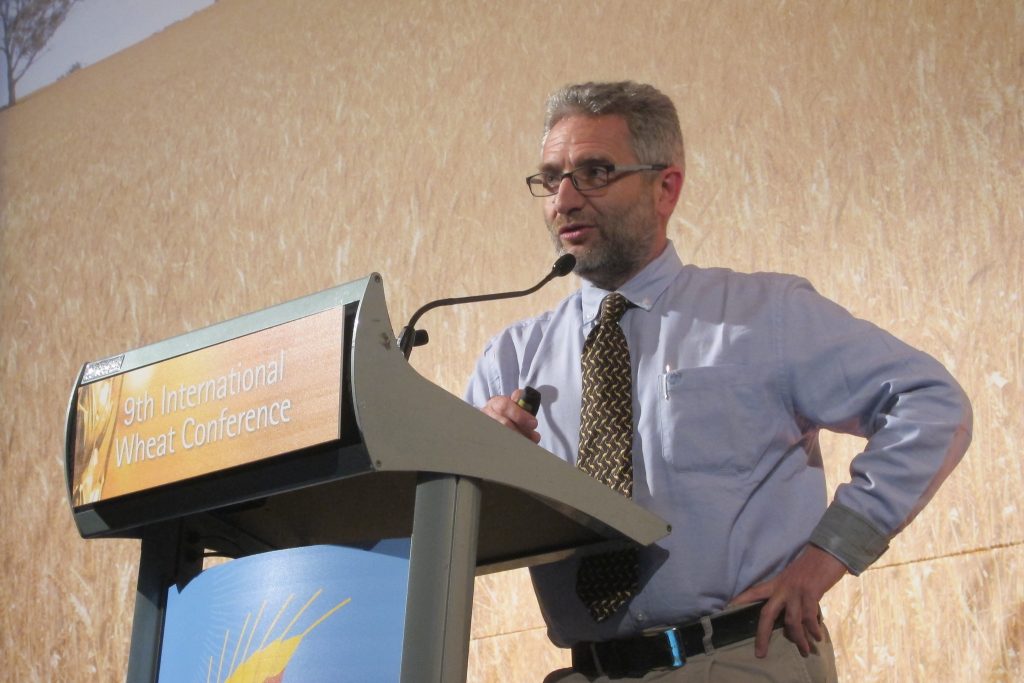 Matthew Reynolds – CIMMYT