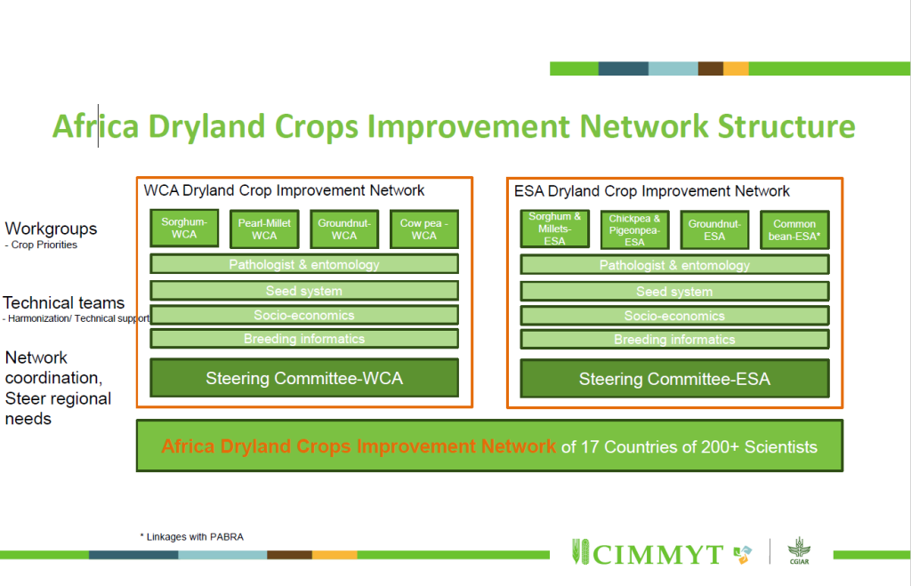 Regional network to scale impact of dryland crops in sub-Saharan Africa – CIMMYT