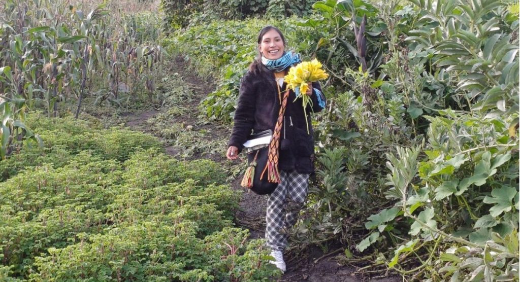 Children, native maize, and gender perspectives – CIMMYT