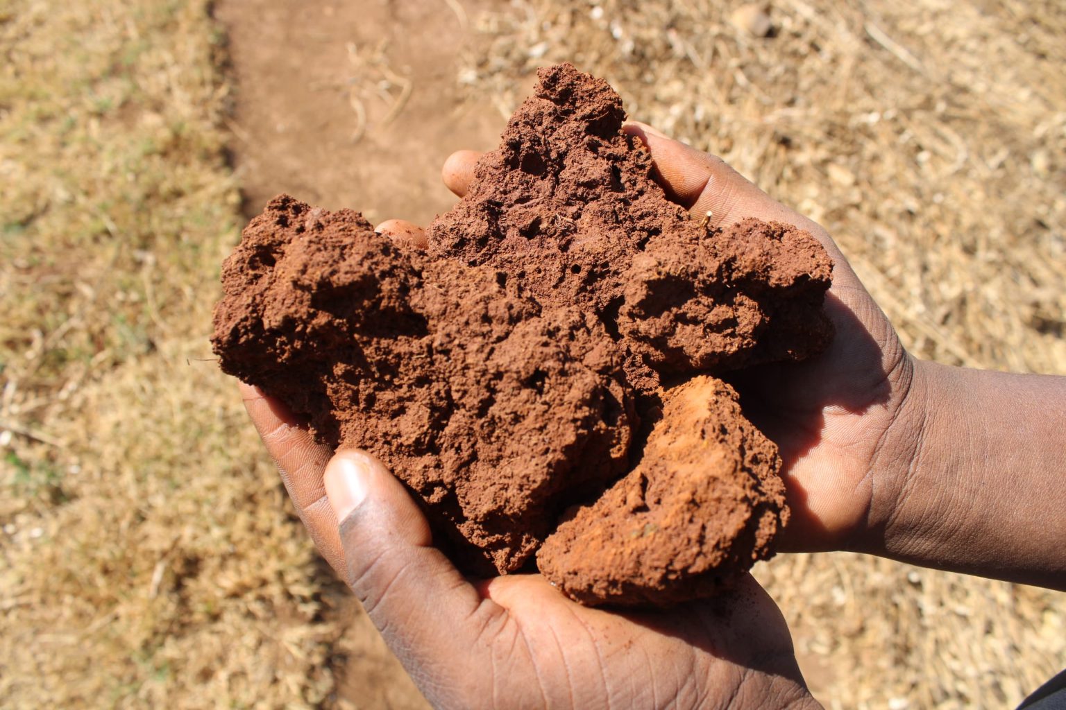 How effective soil aggregate management can boost productivity and ...