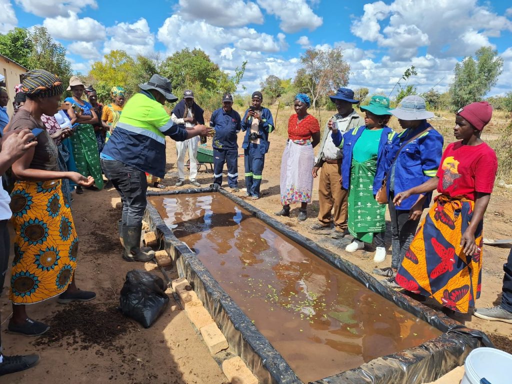 Exploring Azolla Farming as a Sustainable Feed Source for Poultry in ...