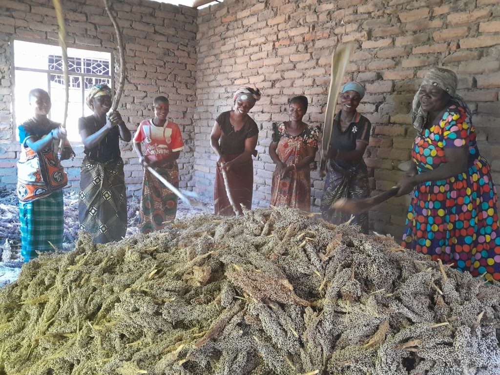 How Ivuna women farmers are transforming their lives through seed ...