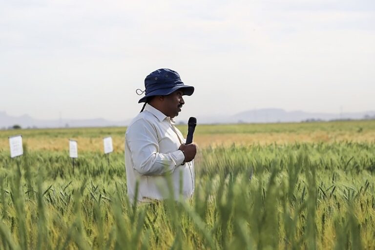 Proudly announcing the 2025 Derek Tribe Award recipient – Velu Govindan ...