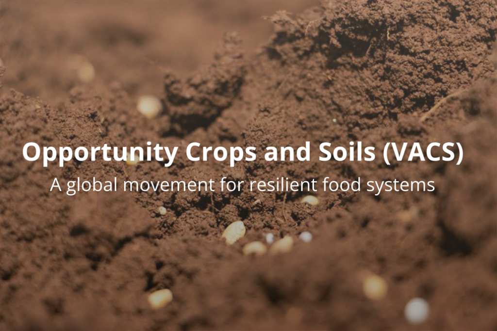 Borlaug Institute for South Asia (BISA) – CIMMYT