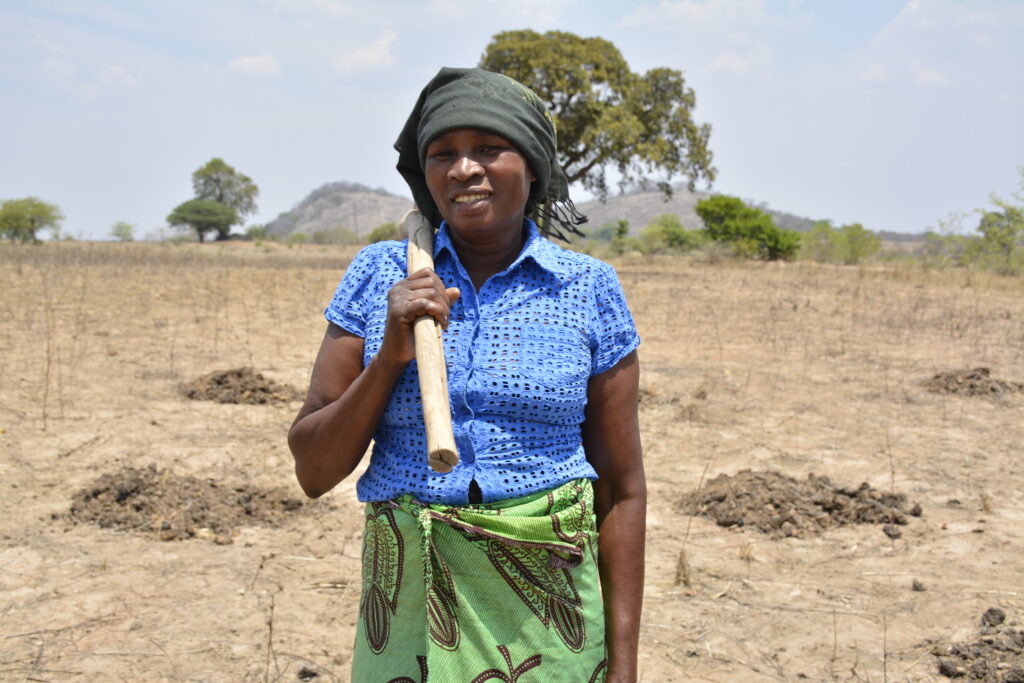 A Global Public Good: The Quiet Science Sustaining the World’s Food ...