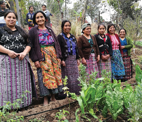 Con el Proyecto Buena Milpa Guatemala, los productores presentan ...