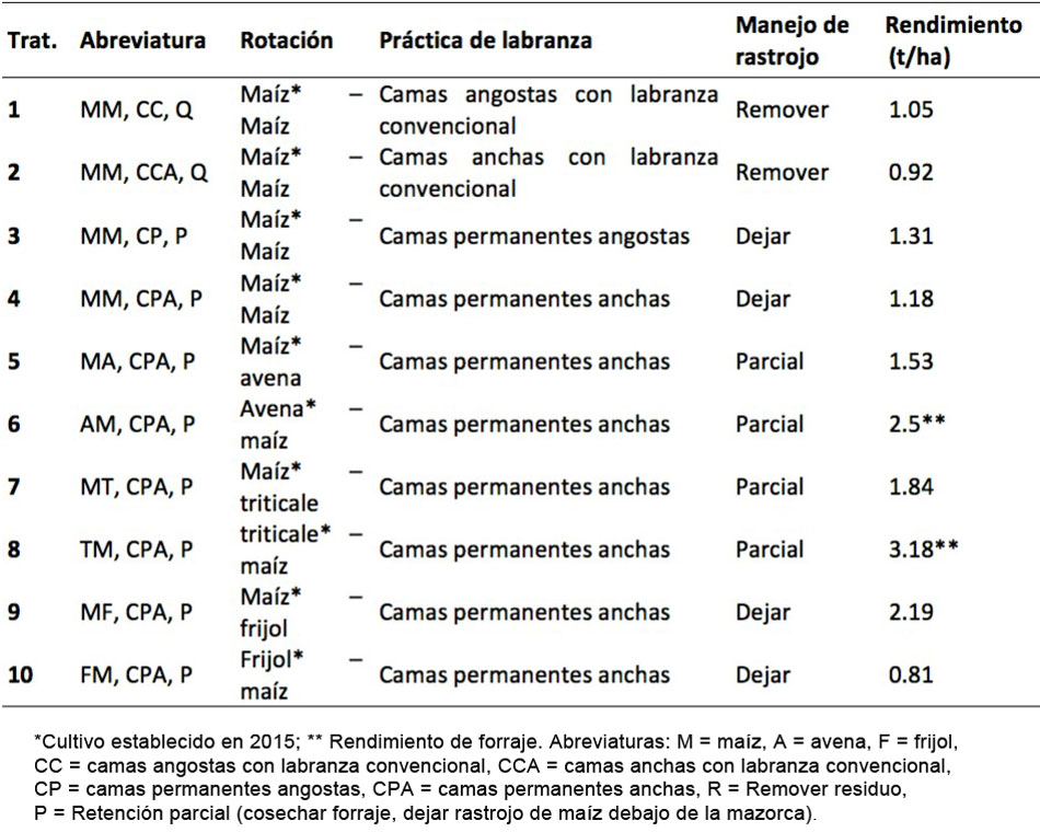 Evaluación de camas anchas, angostas y permanentes en AC – CIMMYT