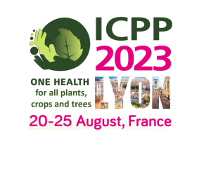 IPCC 2023: Sanidad para todas las plantas, cultivos y árboles – CIMMYT