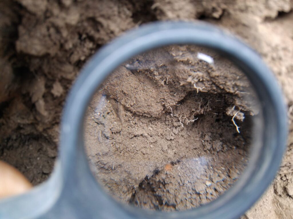 Tips para conocer y aprovechar la calicata del suelo – CIMMYT