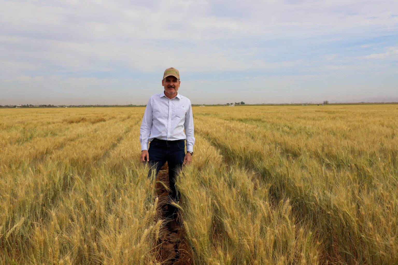 CIMMYT nombra a Flavio Breseghello como Director del Programa Global de ...