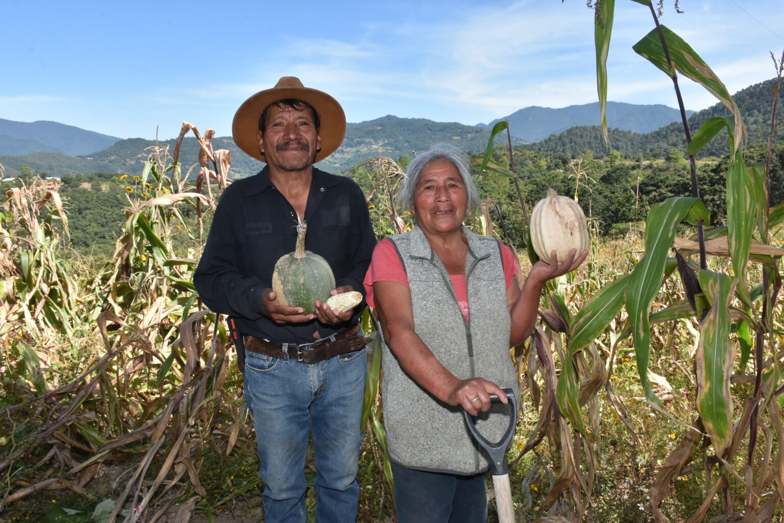 Ciencia en territorio: SEFADER y CIMMYT recorren seis plataformas agronómicas que buscan ...