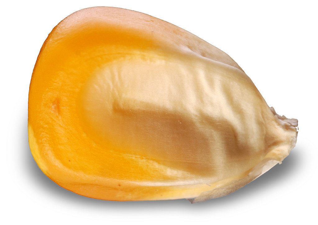 Agriculture for Nutrition and Health (A4NH) | CIMMYT. International ...